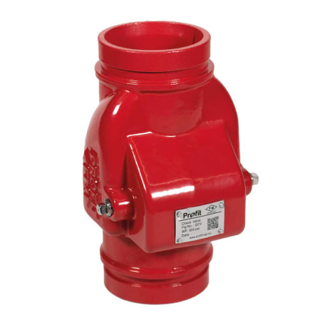Profit Grooved Check Valve