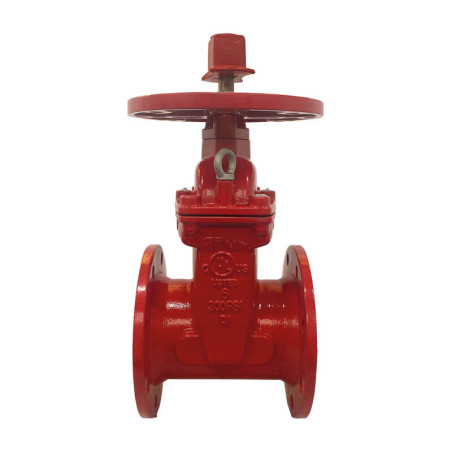 NRS flanged gate valve