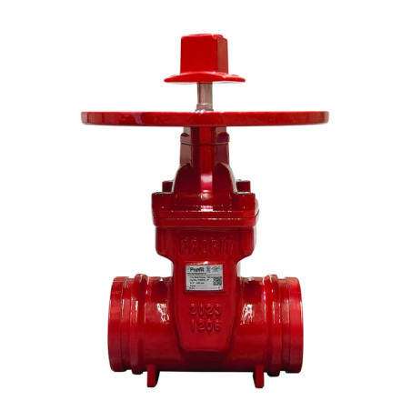 NRS grooved gate valve