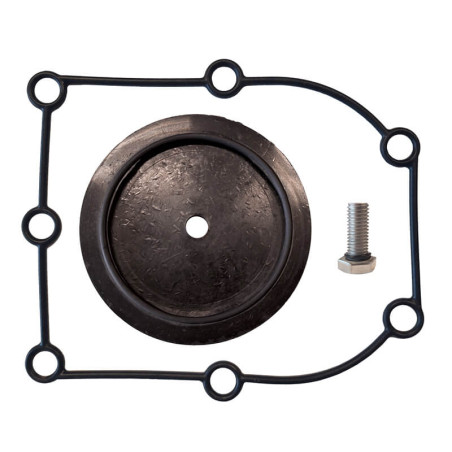 Maintenance set for dry alarm check valves